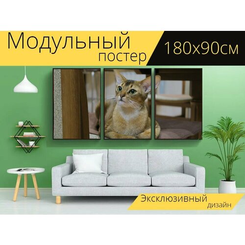 Модульный постер "Котята, абиссинцы кошки, кошки абиссинцы" 180 x 90 см. для интерьера