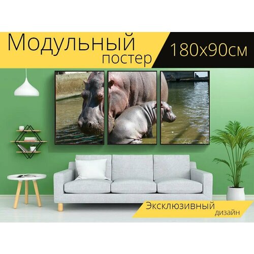 Модульный постер "Бегемоты, фауна, семья" 180 x 90 см. для интерьера