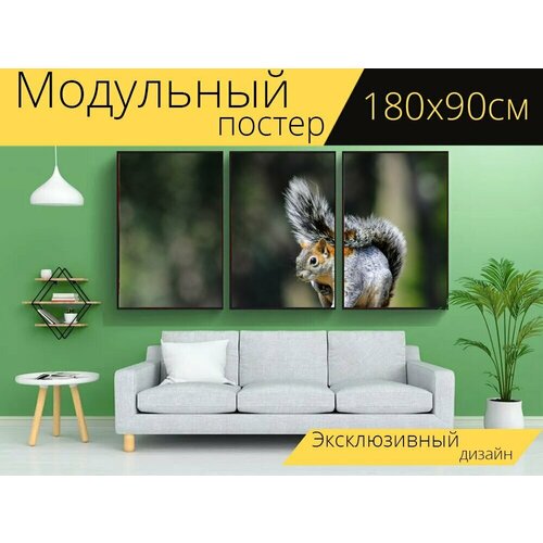 Модульный постер "Животное, бурундук, природа" 180 x 90 см. для интерьера