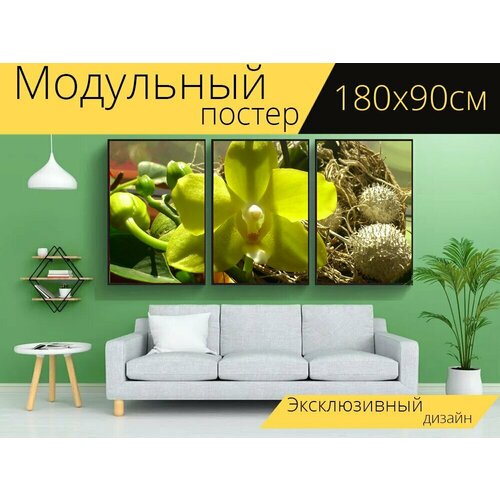 Модульный постер "Желтый, цветок, орхидеи" 180 x 90 см. для интерьера