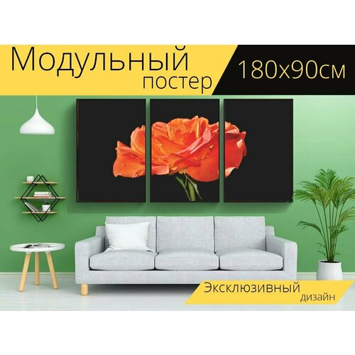 Модульный постер "Роза, садовая роза, благородная роза" 180 x 90 см. для интерьера