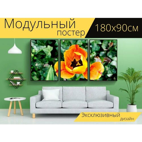 Модульный постер "Тюльпан, цвести, цветок" 180 x 90 см. для интерьера