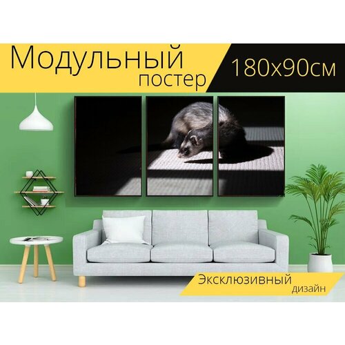 Модульный постер "Хорек, животное, домашний питомец" 180 x 90 см. для интерьера