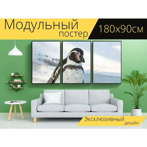 Модульный постер "Пингвин, животное, зоопарк" 180 x 90 см. для интерьера