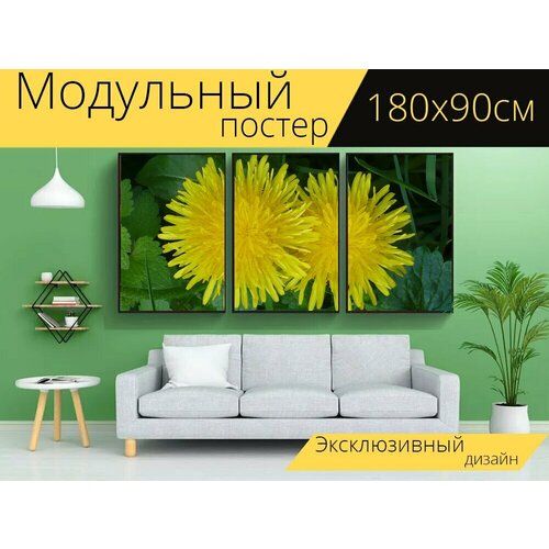 Модульный постер "Одуванчик, халат одуванчик, цветок" 180 x 90 см. для интерьера
