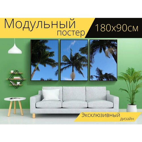 Модульный постер "Пальмовые деревья, тропический, бразилия" 180 x 90 см. для интерьера