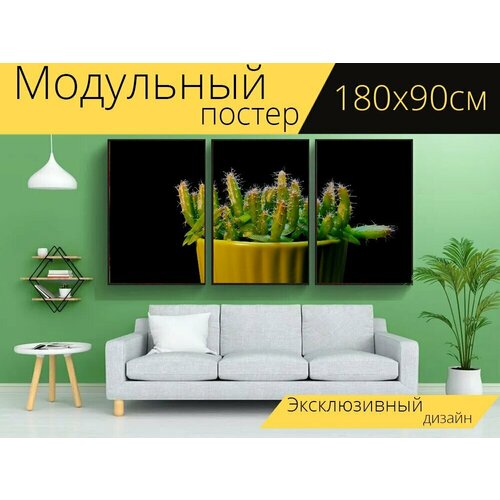 Модульный постер "Кактус, завод, горшок" 180 x 90 см. для интерьера