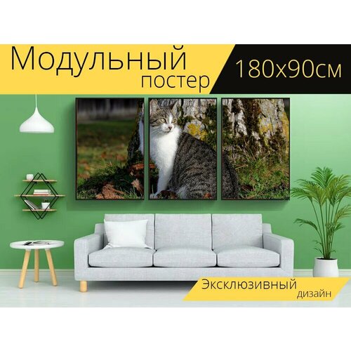 Модульный постер "Кот, борода, домашняя кошка" 180 x 90 см. для интерьера