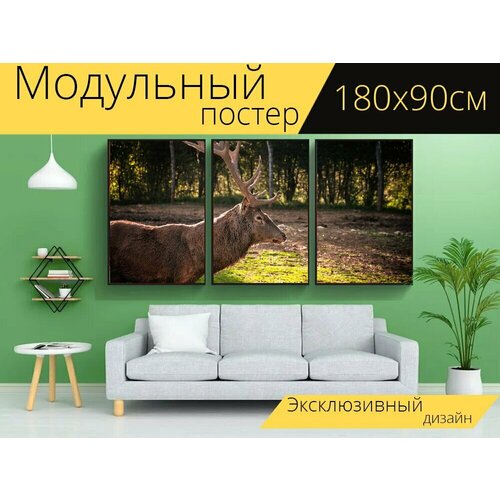 Модульный постер "Природа, животное, олень" 180 x 90 см. для интерьера
