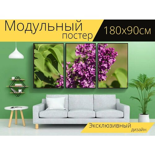 Модульный постер "Цветы, сирень, сиреневый" 180 x 90 см. для интерьера