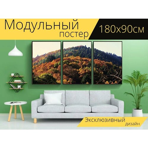 Модульный постер "Лес, смешанный лес, падение" 180 x 90 см. для интерьера