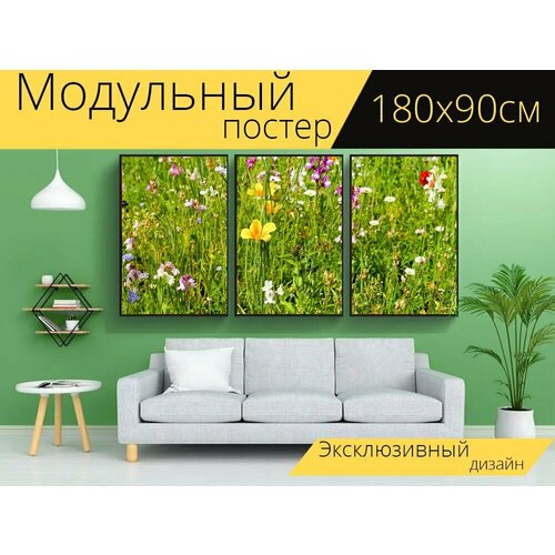Модульный постер "Цветочный луг, луговые цветы, луг" 180 x 90 см. для интерьера