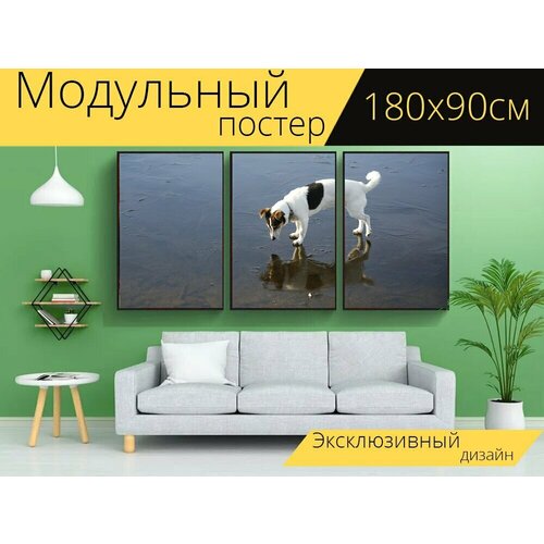 Модульный постер "Джек рассел, собака, замерзшее озеро" 180 x 90 см. для интерьера