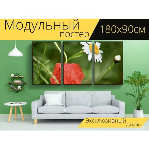 Модульный постер "Мак, маргаритка, цветочный луг" 180 x 90 см. для интерьера