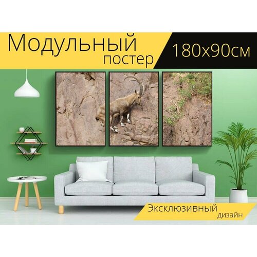 Модульный постер "Козел, горный козел, нубийские горные козлы" 180 x 90 см. для интерьера