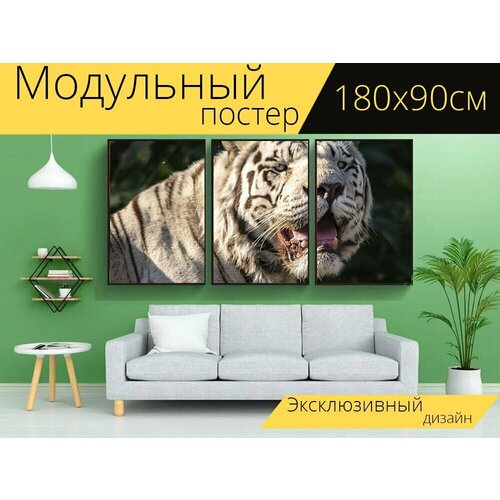 Модульный постер "Белый, тигр, портрет" 180 x 90 см. для интерьера