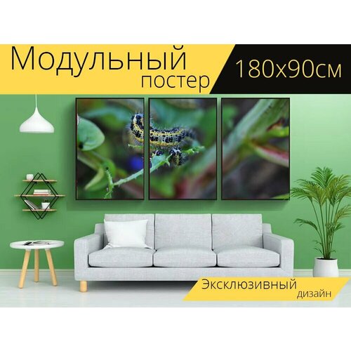 Модульный постер "Бабочка, природа, волосатый" 180 x 90 см. для интерьера