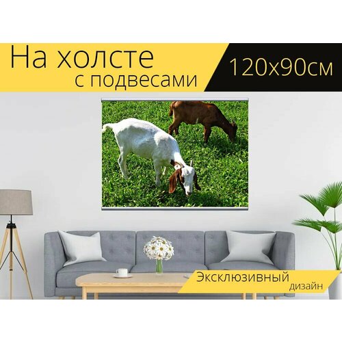Картина на холсте "Коза, козочка, домашнее животное" с подвесами 120х90 см. для интерьера