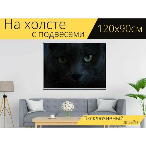 Картина на холсте "Кошка, черный кот, зеленые глаза" с подвесами 120х90 см. для интерьера
