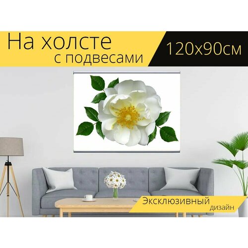 Картина на холсте "Цветок, белая роза, блум" с подвесами 120х90 см. для интерьера