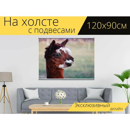 Картина на холсте "Альпака, животное, голова" с подвесами 120х90 см. для интерьера