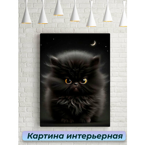 Картины для интерьера 40х60 Черный злобный котенок ночь
