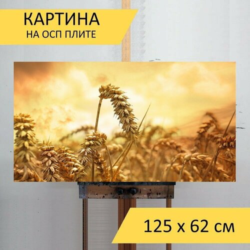 Картина на ОСП 125х62 см. "Пшеница, пшеничный колос, зерно" горизонтальная, для интерьера, с креплениями
