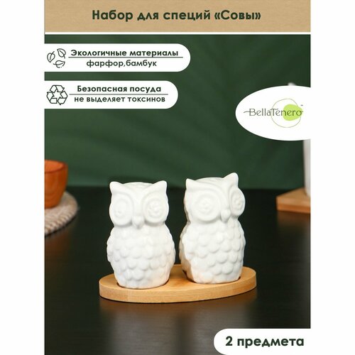 Набор для специй на деревянной подставке «Совы», 2 предмета: солонка 75 мл, перечница, 75 мл, цвет белый