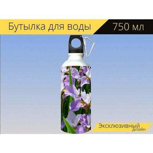 Бутылка фляга для воды "Ирис, цветок, цвести" 750 мл. с карабином и принтом