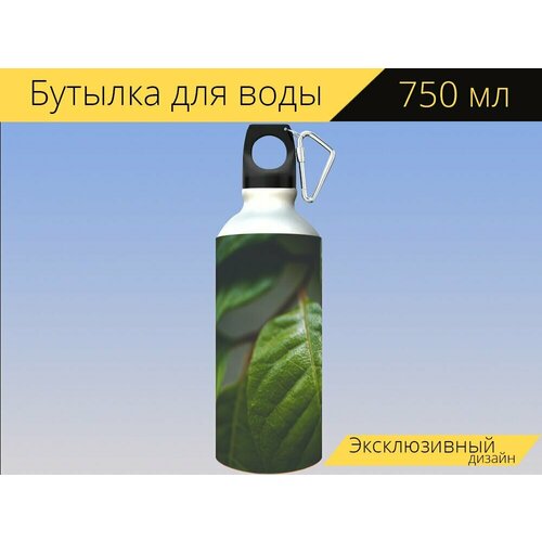 Бутылка фляга для воды "Листья, листва, завод" 750 мл. с карабином и принтом