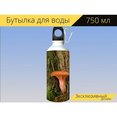 Бутылка фляга для воды "Гриб, лесной гриб, мох" 750 мл. с карабином и принтом