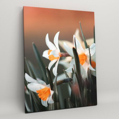 Картина на холсте (интерьерный постер) "Нарциссы" растения, с деревянным подрамником, размер 30х40 см