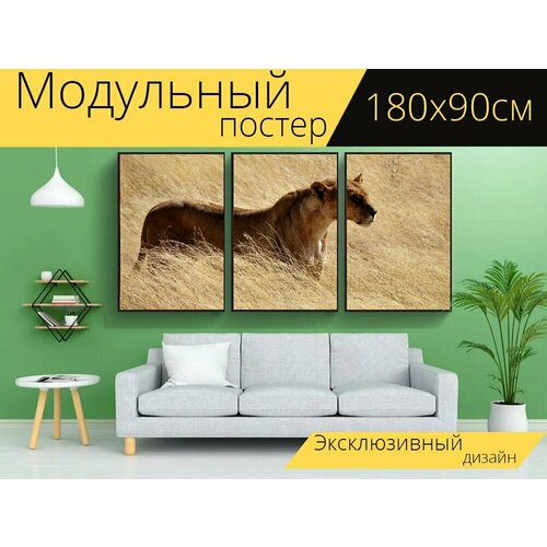 Модульный постер "Лев, львица, дикий" 180 x 90 см. для интерьера