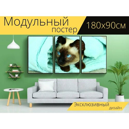 Модульный постер "Сиамская кошка, кошка, бирюзовый" 180 x 90 см. для интерьера