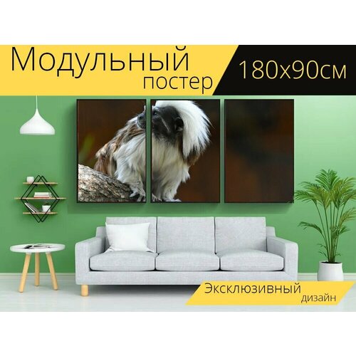 Модульный постер "Обезьяна, животное, фотоохота" 180 x 90 см. для интерьера