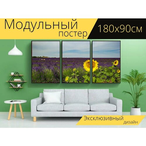Модульный постер "Подсолнечник, прованс, пейзаж" 180 x 90 см. для интерьера