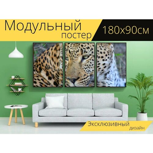 Модульный постер "Природа, животное, дикая природа" 180 x 90 см. для интерьера