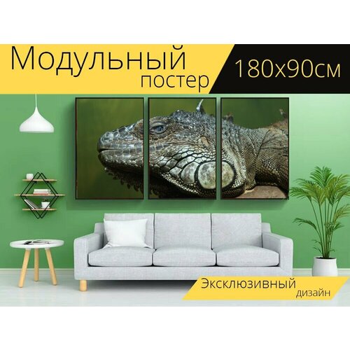 Модульный постер "Игуана, дракон, зоопарк" 180 x 90 см. для интерьера