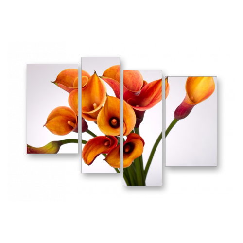 Модульная картина на стекле | Diva Kartina | Цветы. Оранжевые каллы | 140X100 см