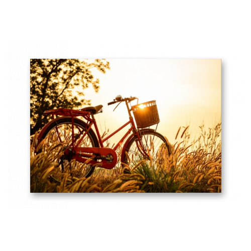 Картина на холсте | Diva Kartina | Природа. Велосипед на закате | 100X70 см | Интерьерный постер