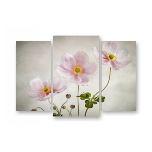 Модульная картина на холсте | Diva Kartina | Цветы. Нежные цветы | 70X49 см