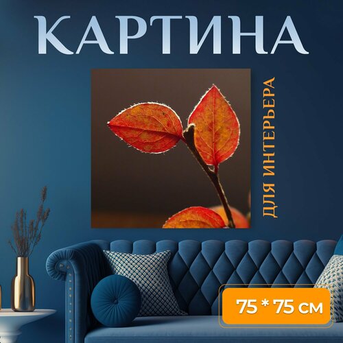 Картина на холсте "Осень, падение, листья" на подрамнике 75х75 см. для интерьера