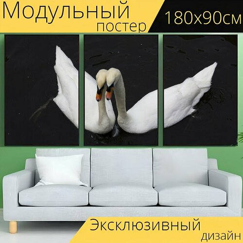 Модульный постер "Брюгге, лебедь, птица" 180 x 90 см. для интерьера