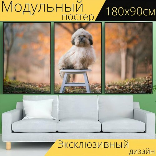 Модульный постер "Собака, домашние питомцы, домашний питомец" 180 x 90 см. для интерьера