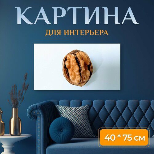 Картина на холсте "Грецкий орех, сырые грецкие орехи, вегетарианец" на подрамнике 75х40 см. для интерьера