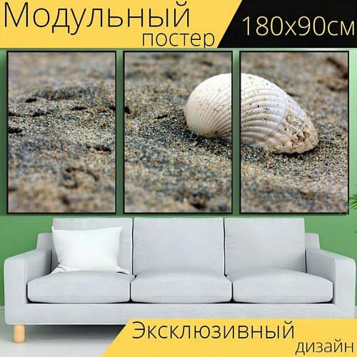 Модульный постер "Оболочка, пляж, песок" 180 x 90 см. для интерьера