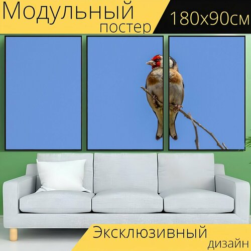 Модульный постер "Европейский щегол, птица, природа" 180 x 90 см. для интерьера