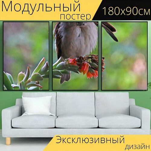 Модульный постер "Птица, воробей, клюв" 180 x 90 см. для интерьера