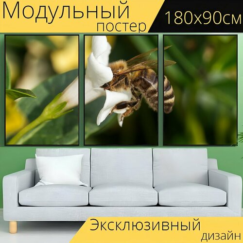 Модульный постер "Пчела, завод, насекомое" 180 x 90 см. для интерьера