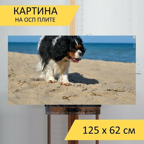 Картина на ОСП 125х62 см. "Собака, небольшой, домашнее животное" горизонтальная, для интерьера, с креплениями